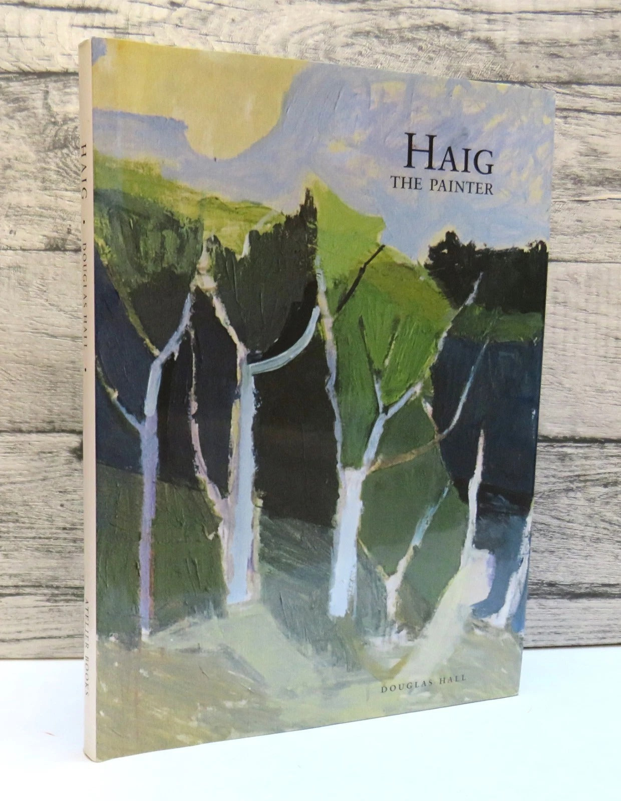Haig The Painter by Douglas Hall, 2003 | Art Biography Book – J.W.B Books